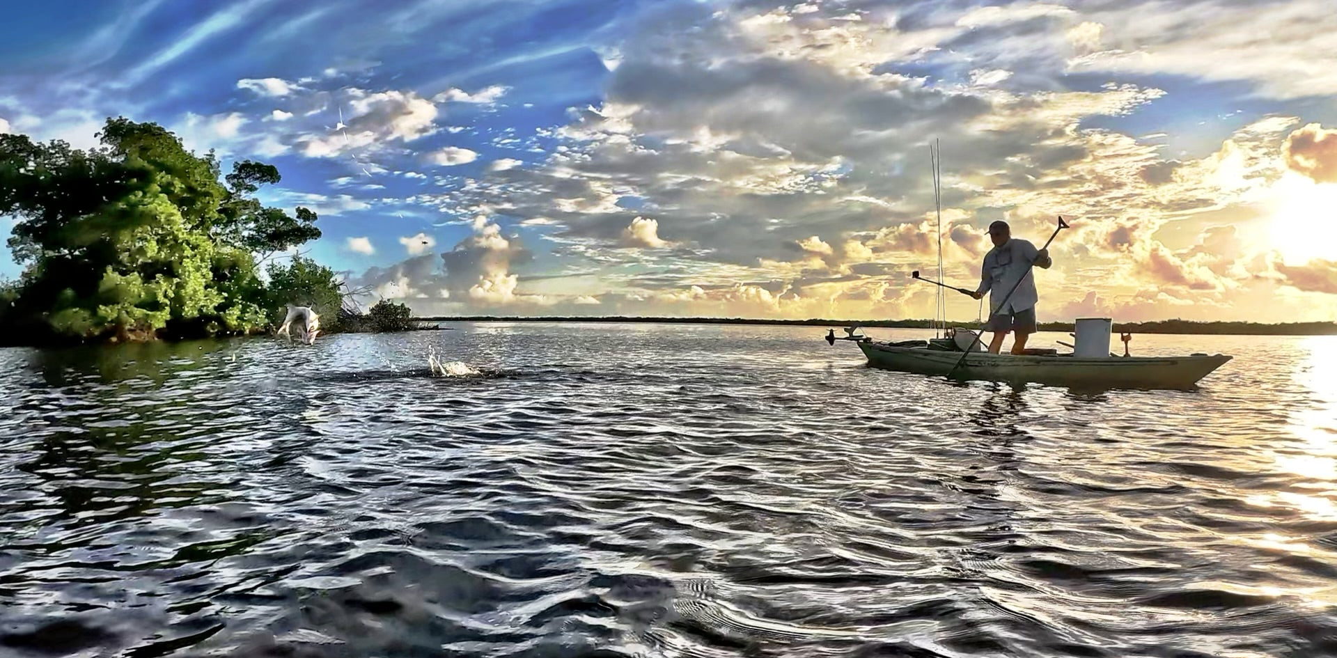 New Arrivals – 12 Wt., LLC